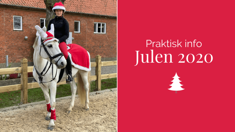 Julen 2020 i NSPR - Næstved Sportsrideklub